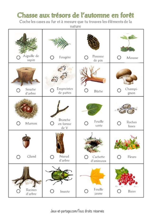 Cherche et trouve de l’automne en forêt | Jeux et partage